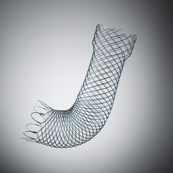 Dispositivos Stents – Endo Imagen Médica